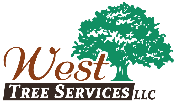 West Tree Services is a Tree Expert in Severn, MD 21144